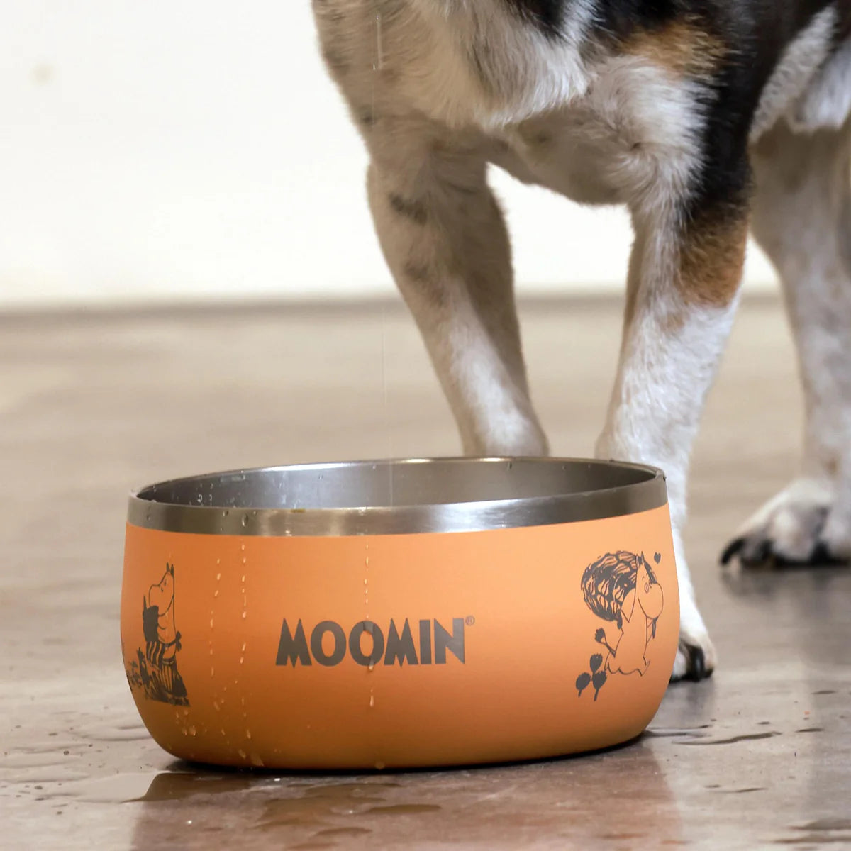 Gamelle Pour Chien Moomin Orange par SohoPoms – Pom D'Azur