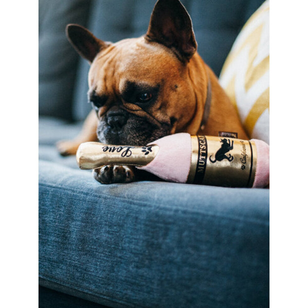 Bouteille pétillante Jouet pour Chien – Pom D'Azur